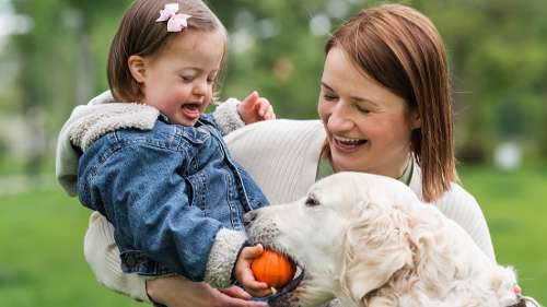 Special Needs Sedation Dentistry | Safety & Comfort at Sierk